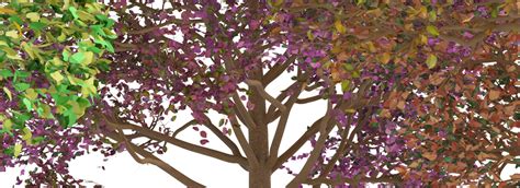 Customizable 3d Tree Models Flippednormals