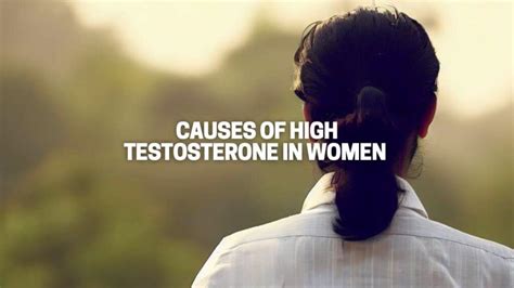 Causes Of High Testosterone In Women And How To Recognize The Symptoms Great Green Wall