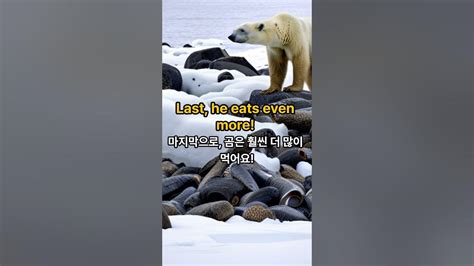 짧은영어책 함께읽기쇼츠1 Youtube