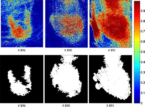 Classification Maps The First Row Represents The SVM Probability Map Download Scientific