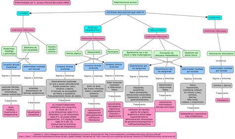 Staphylococcus Aureus