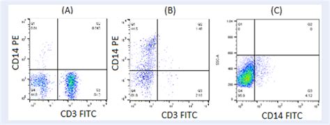Phenotypic Analysis Of Isolated Pbmc Monocyte Andthp 1 Cell Isolated