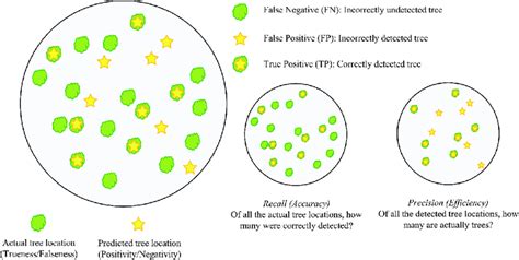 true positive tp false positive fp and false negative fn