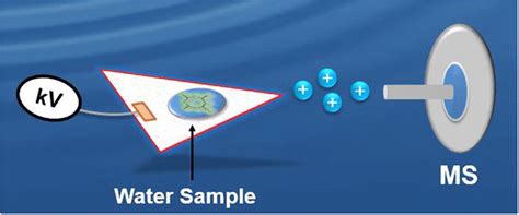 Schematic Of The Paper Spray Mass Spectrometry Experimental Setup Used Download Scientific