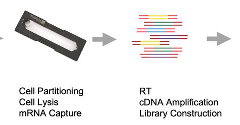 Illumina Singleron Gexscope® Single Cell Rna Seq Data Now Available…