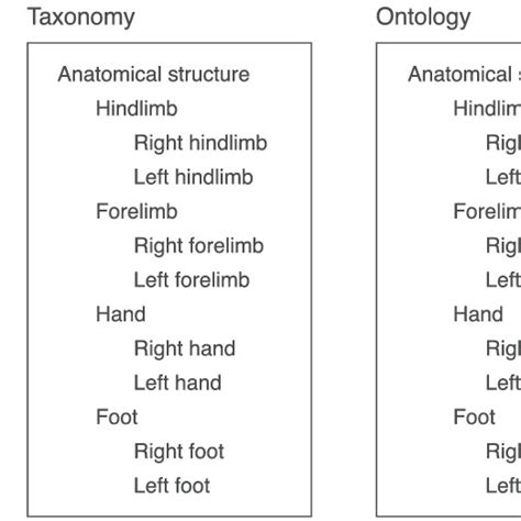 Levels Of Complexity In Semantic Representation A Controlled