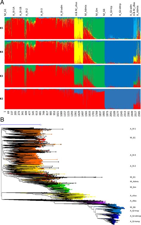 Population Structure In 1929 Asian And 620 Malagasy Rice Accessions