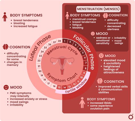 Menstrual Cycle Hormones And Their Effects In Different Menstrual