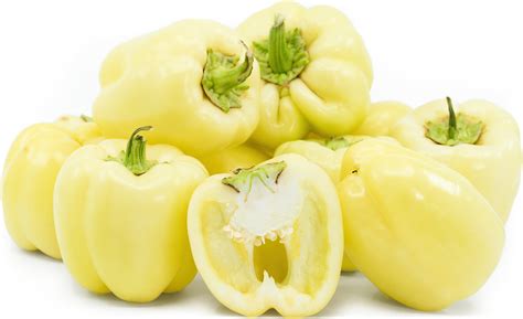 Cow Bell Pepper
