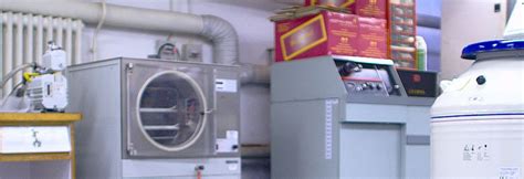 Basic Enzymes Amylases Textile Processing Pectinases Textile