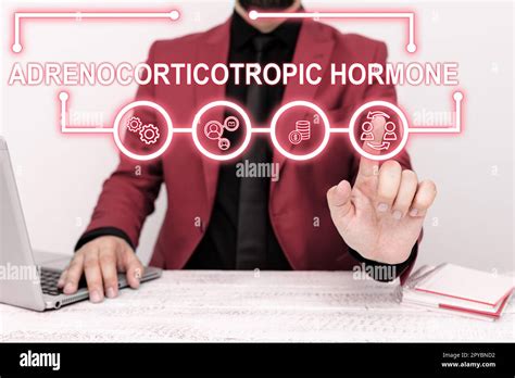 Conceptual Caption Adrenocorticotropic Hormone Business Concept