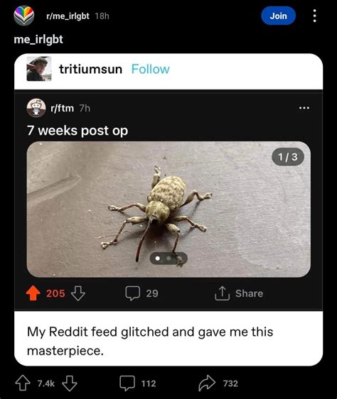 Franz Kafka Metamorphosis R Philosophymemes