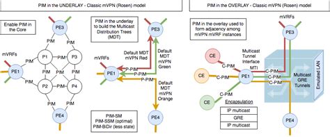 Multicast Vpn Architecture