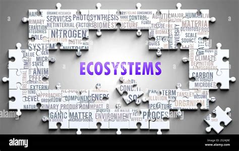 Ecosystems Being A Complex Subject Related To Other Important Topics