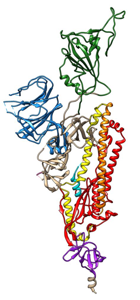Sars Cov 2 Variants Of Concern Virology Blog