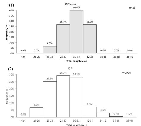 Frequency Distribution Of Total Length For Yellow Grouper Grey And