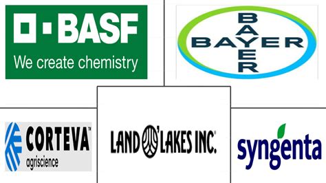 United States Seed Market Size And Share Analysis Industry Research