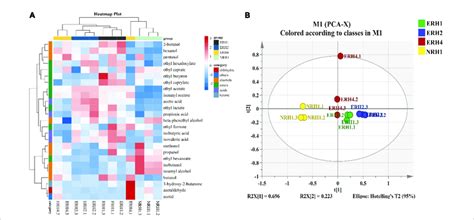 A Heatmap Of Flavor Metabolites And Hierarchical Clustering Flavor Download Scientific