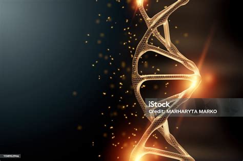 창조적 인 배경 Dna 구조 회색 배경 자외선에 황금 Dna 분자 3d 렌더링 3d 그림 의학 연구 실험 실험 바이러스 및 질병의 개념 3차원 형태에 대한 스톡 사진 및