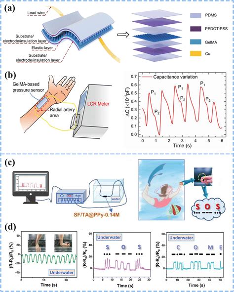 Functional Conductive Hydrogels From Performance To Flexible Sensor
