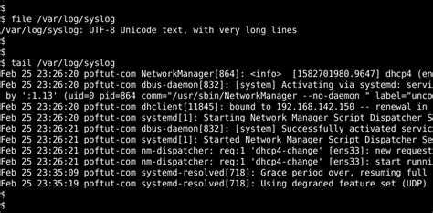 Linux Logger命令用法教程及示例 Csdn博客