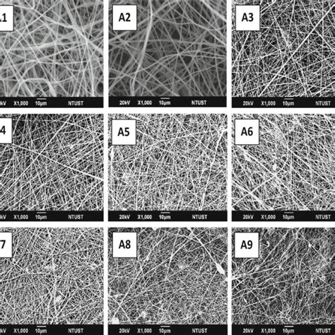 Pdf Electrospinning And Antibacterial Activity Of Chitosan Blended Polylactic Acid Nanofibers
