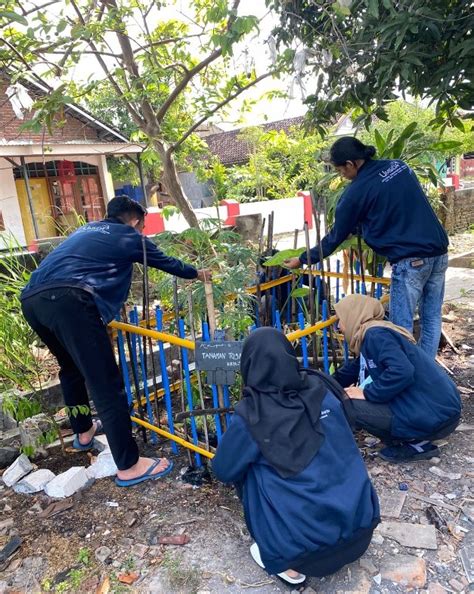 Penanaman Bibit Toga Dan Peletakan Tempat Sampah Terpusat Bagi Warga Kedurus Kkn T Umsida