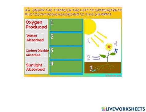 Homework Week 7 Day 2 Worksheet Live Worksheets