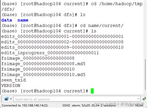 Hadoop 本地单机版的datanode启动不了单机hdfs 0datanode Csdn博客