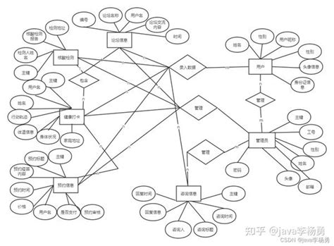 大学生毕业设计论文结构图怎么画？用processon很简单 知乎
