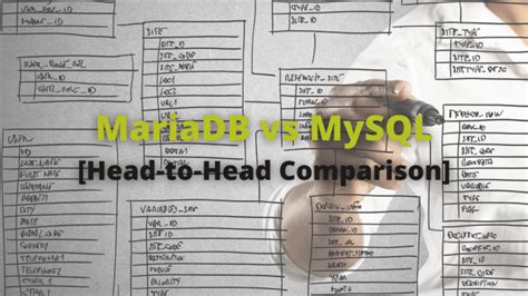 MariaDB Vs MySQL What S The Difference ScalaHosting Blog