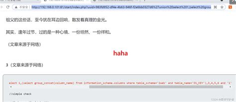 Cisp Pte考前练习 Sql注入cisp Pte模拟题目 Csdn博客