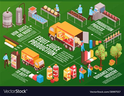 Fruit Juice Production Flowchart Royalty Free Vector Image