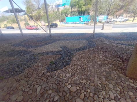 Ya Vienen Las Fiestas De San Juan Y Las Ranas Pintadas Con Piedras