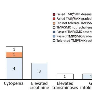 Figure Reasons For TMP SMX Avoidance And TMP SMX Rechallenge Outcomes Download Scientific