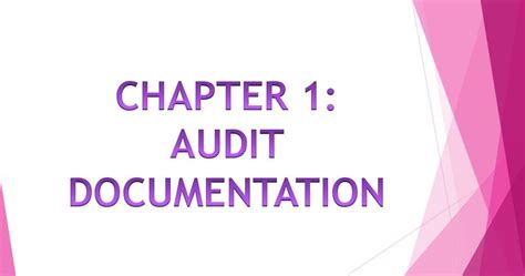 Chapter 1 Audit Documentation