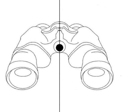 ბავშვთა ფსიქოლოგი ბავშვთა ფსიქოლოგი დალი კლიმიაშვილი