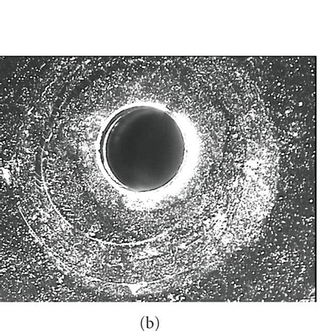 Mems Representing Test Sample In Cross Section Download Scientific