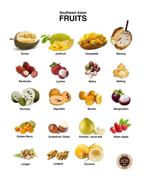Southeast Asian Fruits