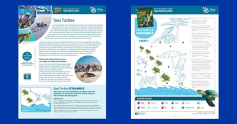 Free Printable Sea Turtle Activity Pages Mama Likes This