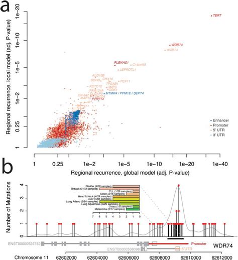 Genome Wide Analysis Of Noncoding Regulatory Mutations In Cancer
