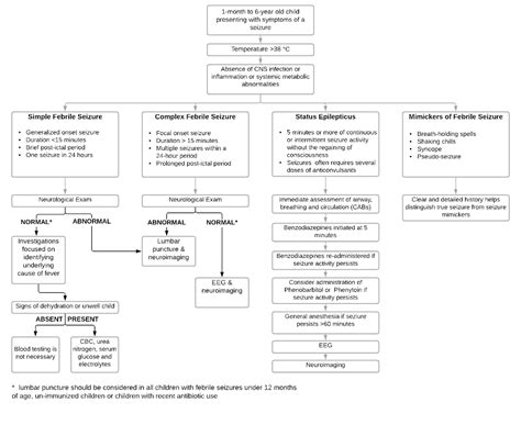 Febrile Seizures Pathophysiology Pathophysiology Of Seizures In The