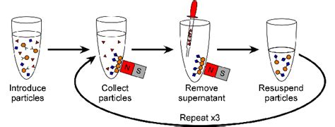 Conventional Magnetic Particle Separation Methodology Hampered By Time