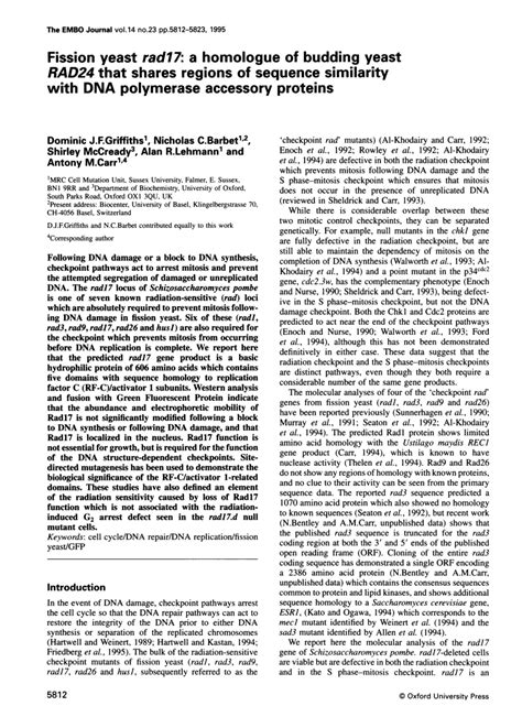 Pdf Fission Yeast Rad17 A Homologue Of Budding Yeast Rad24 That Shares Regions Of Sequence