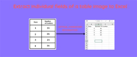 Ocr Extract Individual Fields Of A Table Image To Excel Askpython