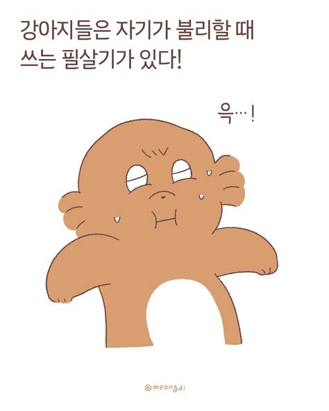 멍디 ﹙인스타툰 애개육아﹚ 🐶어때 내필살기 드르렁 드를엉 쿨쿨 쿨쿨핑 강아지 멍디 키니 인스타툰 푸들툰 푸들만화 강아지툰 강쥐 멍디툰