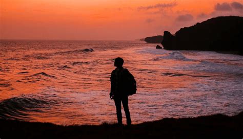 Introducing Libpdf The Pdf Library Typescript Deserves Documenso