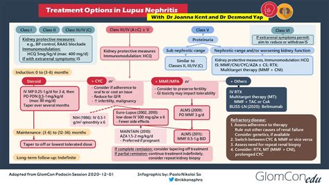 Lupus Nephritis GlomCon Pubs