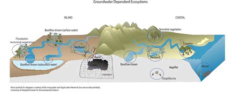 Groundwater Dependent Ecosystems Gdes Nsw Government Water