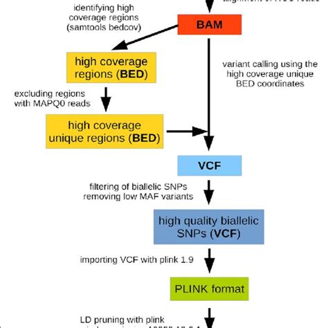 Preparation Of Wes Data For Population Genetic Analysis Download Scientific Diagram